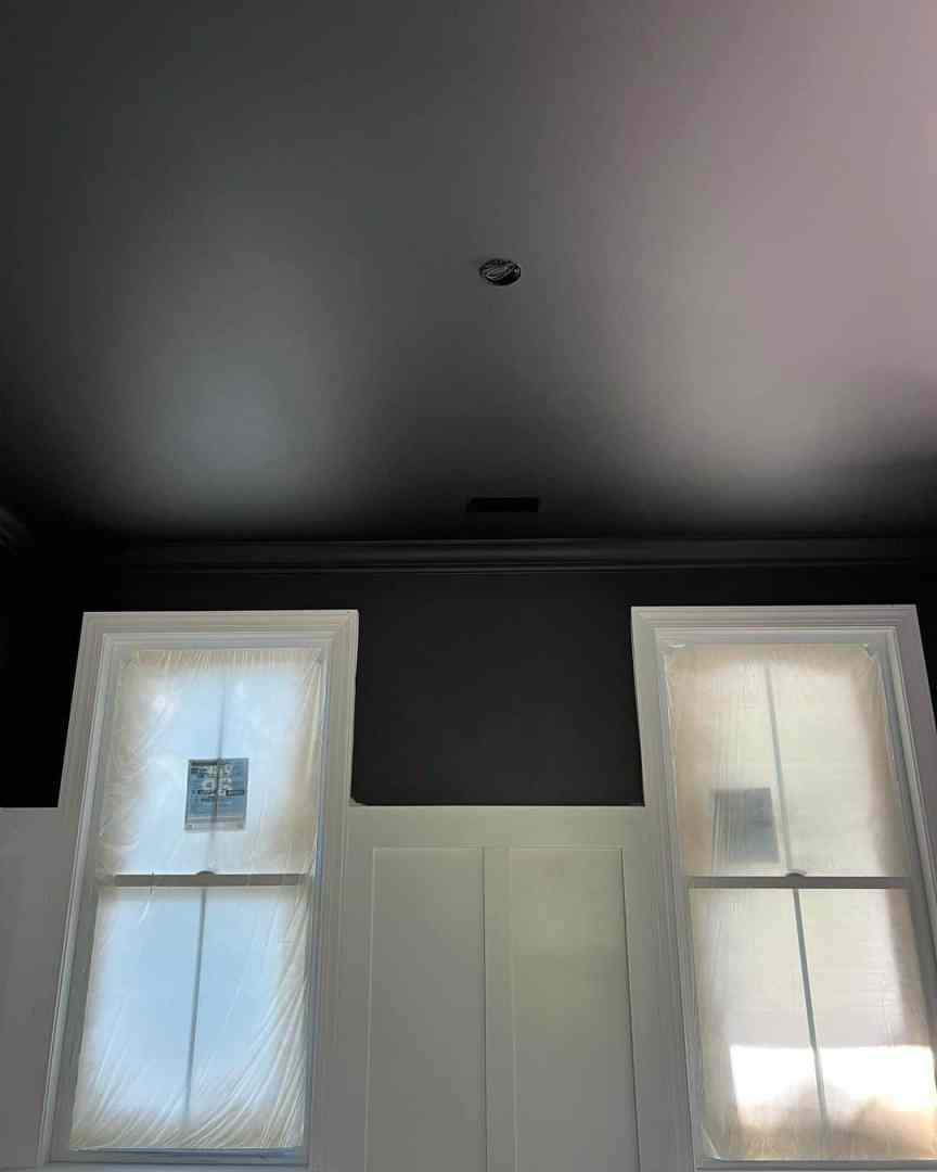 The Best Black Ceiling Paint Colors