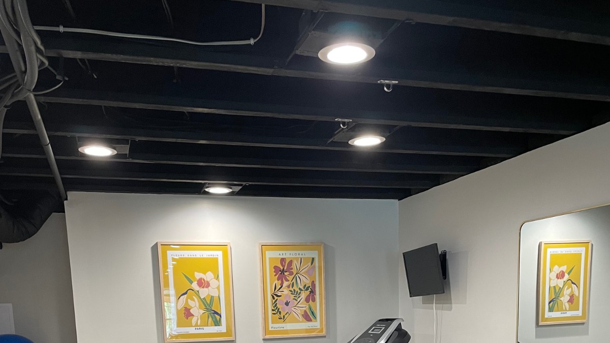 The Best Black Ceiling Paint Colors